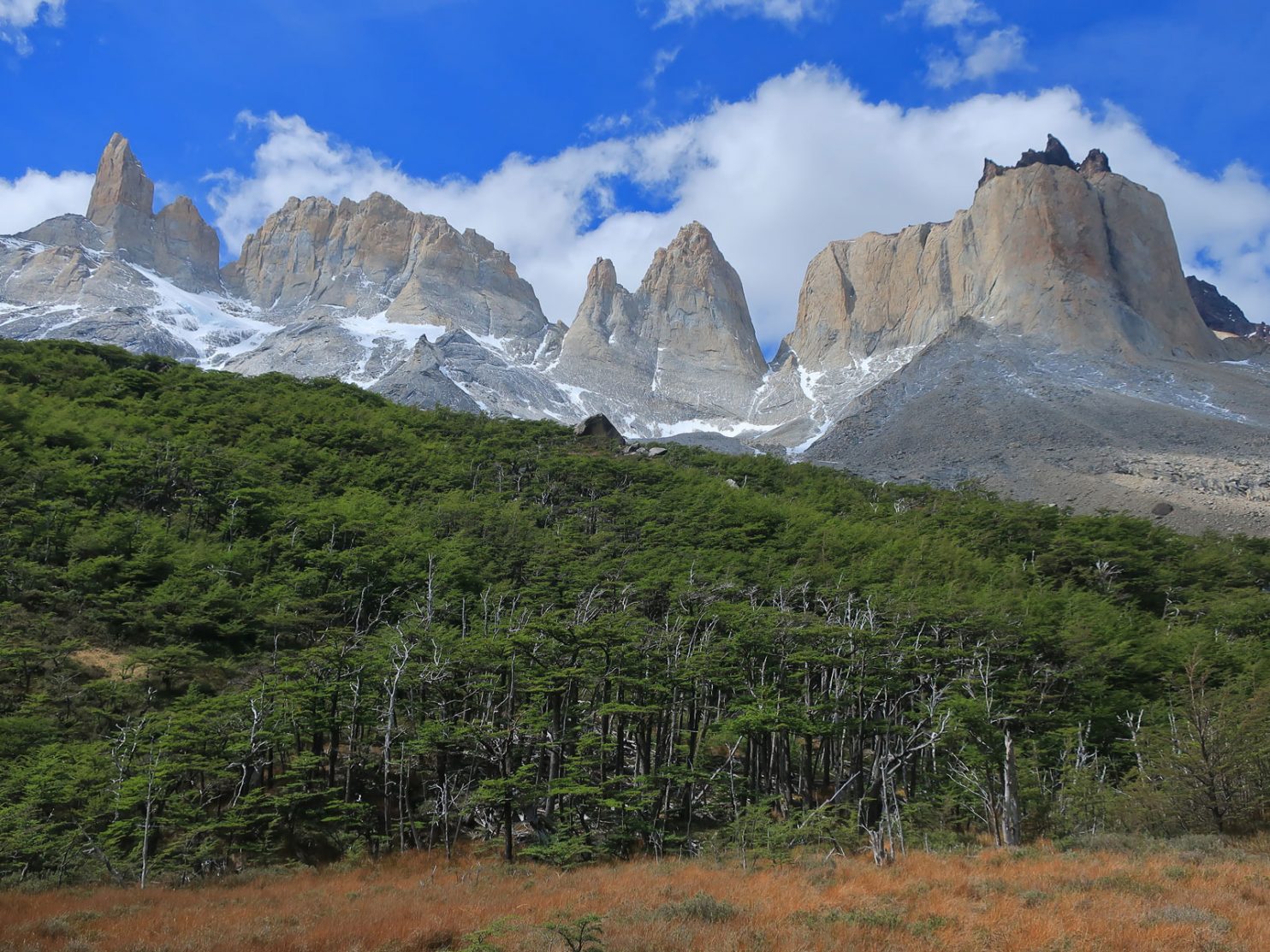 Torres Del Paine Gallery Baxter Nature