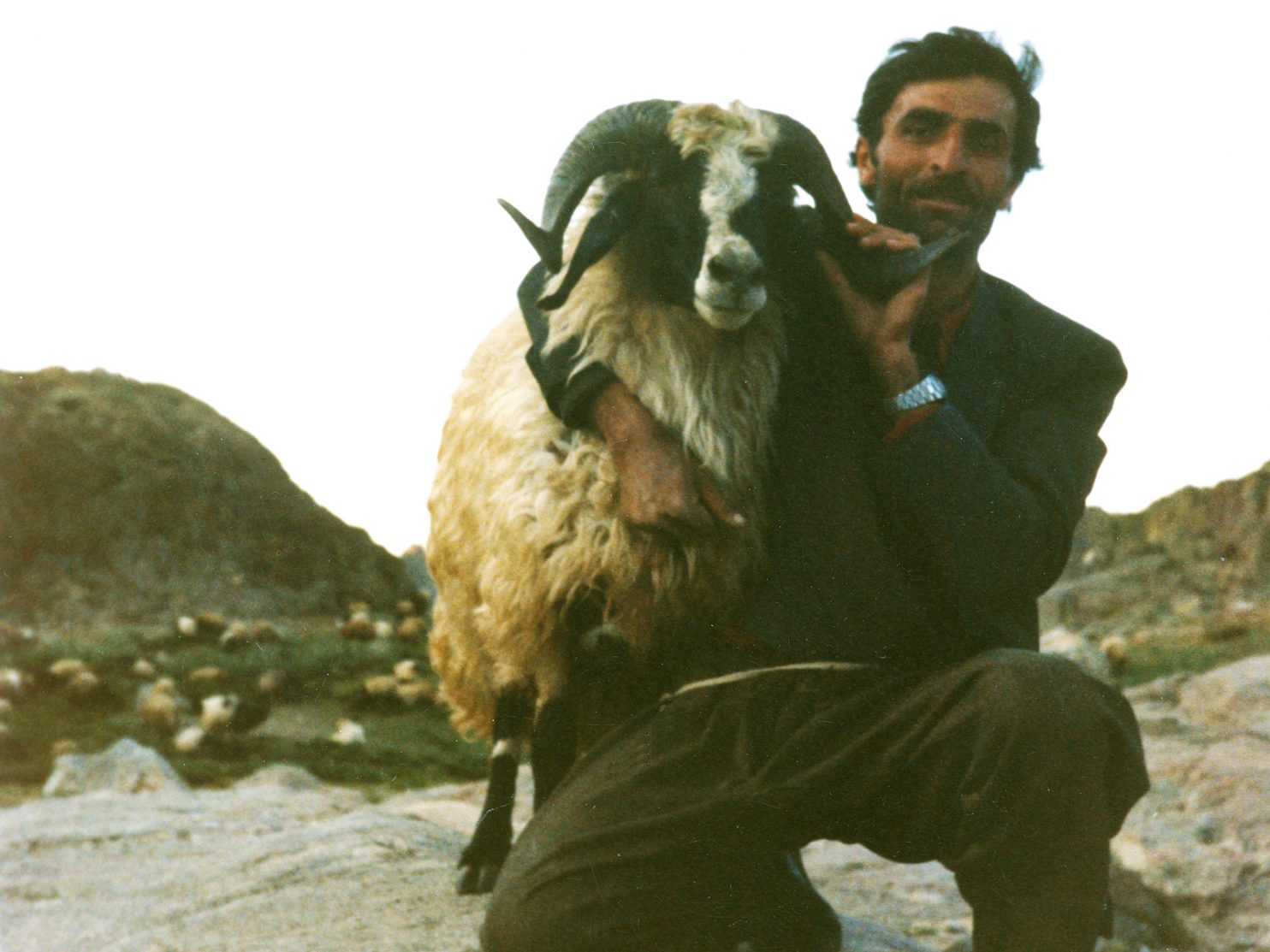 Kurdistan Gallery – Baxter Nature