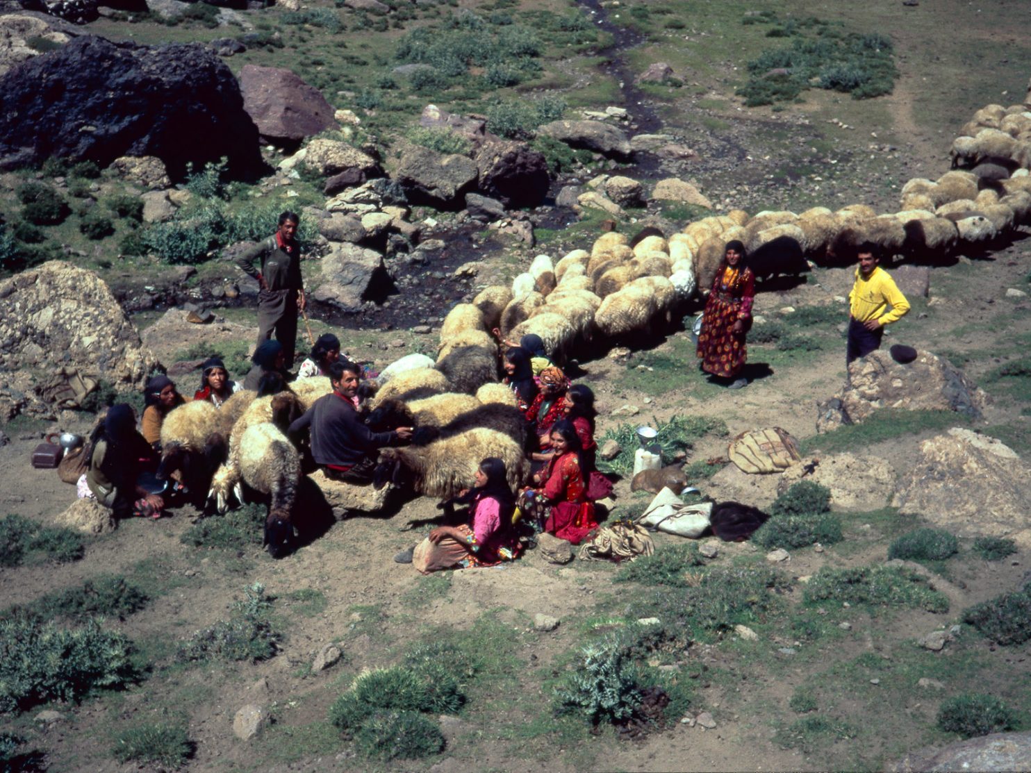 Kurdistan Gallery | Baxter Nature